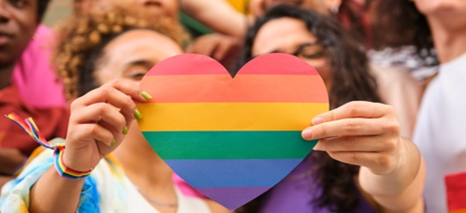 Does Sexual Orientation Play a role in Contested Custody Cases in ...
